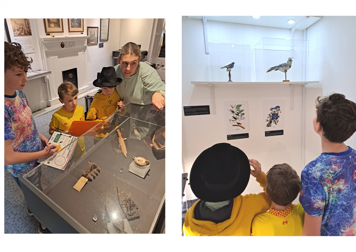 Boundless Curiosity - For Families | Guille-Allés Library | Guernsey